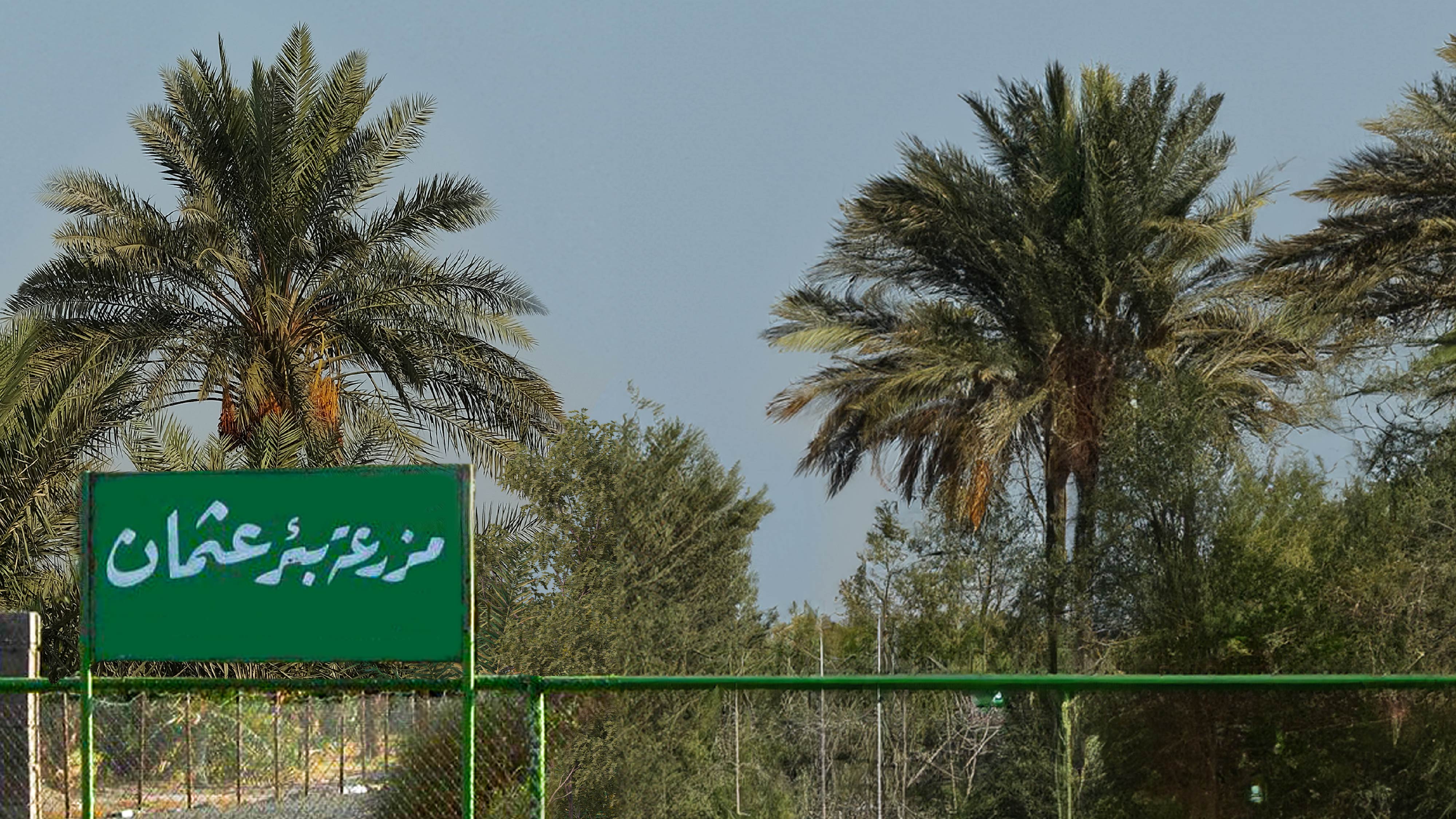 The General Authority for Awqaf - الهيئة العامة للأوقاف